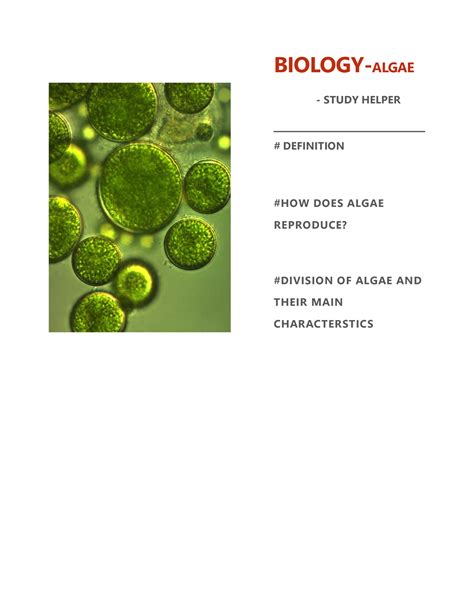 Algae Biology Algae Study Helper Definition