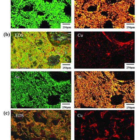 Sem Micrographs Of The Fractured Joints Obtained Under Different