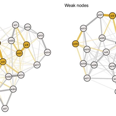 Targeting Parameters Of Strong And Weak Nodes Yellow Nodes And Edges
