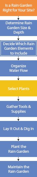 Rain Garden Elements