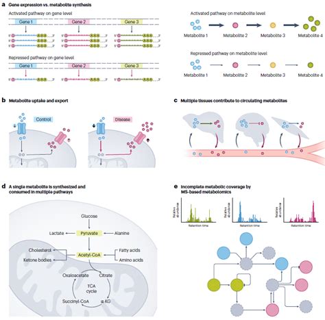 震惊！nature子刊最新发布！你的代谢组学通路分析真的做对了吗？ 知乎
