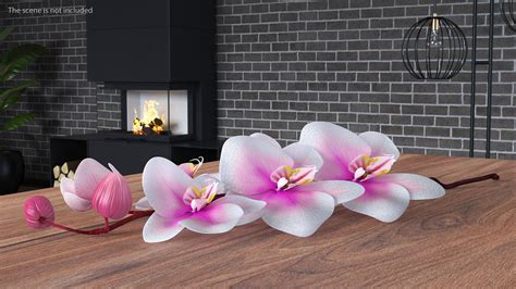 Small Orchid Stem 3d Model 29 3ds Blend C4d Fbx Max Ma Lxo