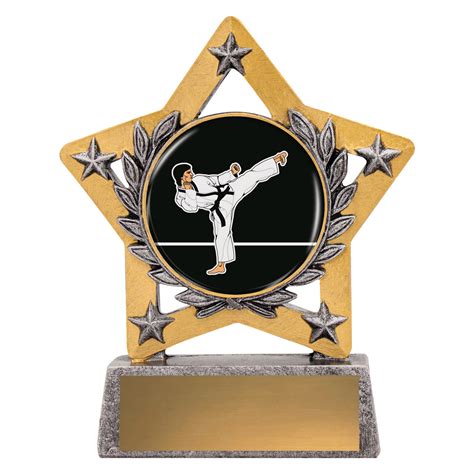 Martial Arts And Karate Karate Mini Star Trophies And Awards Trophies