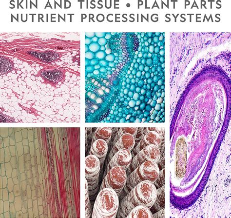 National Geographic Ultimate Dual Microscope Think Blue Marble