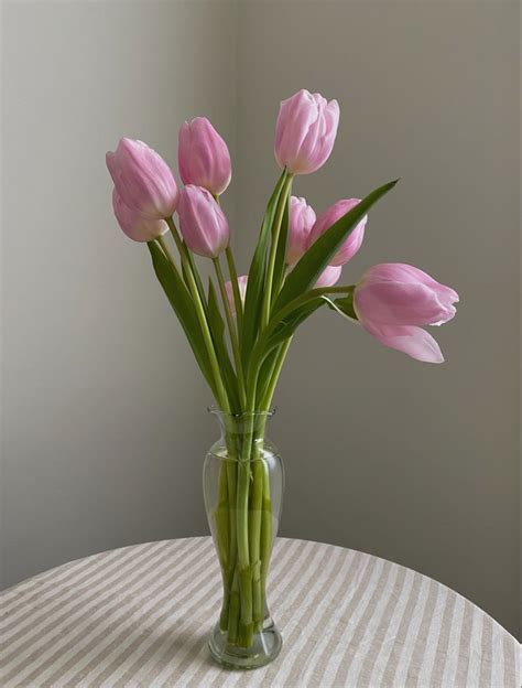 Little Pink Tulips In A Clear Vase Las Flores Mas Hermosas Tulipanes