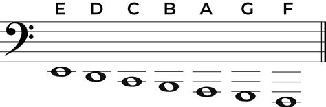 Discovering The Bass Clef Music Theory For Beginners