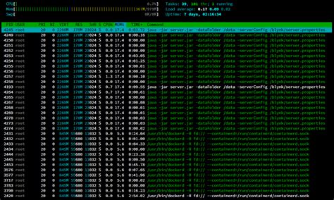 strange behaviour when using docker to run blynk server r docker