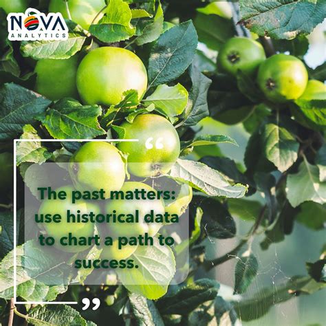 Nova Analytics On Linkedin Agriculture Novaanalytics Dataanalytics