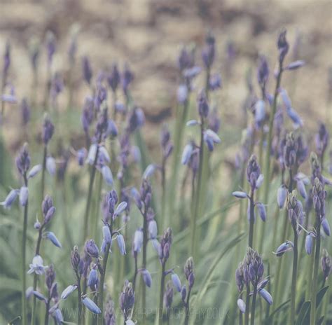 Imogen Barker Photography