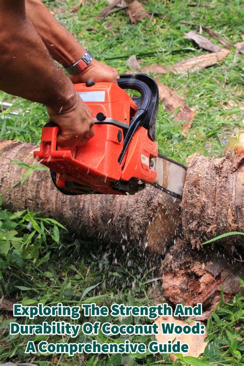 exploring the strength and durability of coconut wood a comprehensive