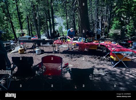 Trail Magic Waiting For Pacific Crest Trail Thru Hikers Ebbets Pass