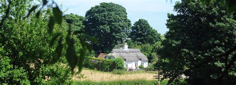 South Ormsby Estate Birdwatching Visit Lincolnshire
