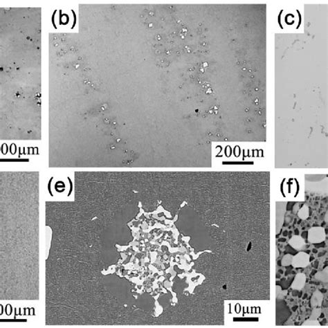 Sem Images Showing The Microstructure Of Single Crystal Alloy After