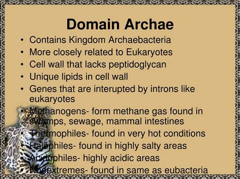 Ppt Classification Of Organisms And The Kingdoms Of Living Things Powerpoint Presentation Id