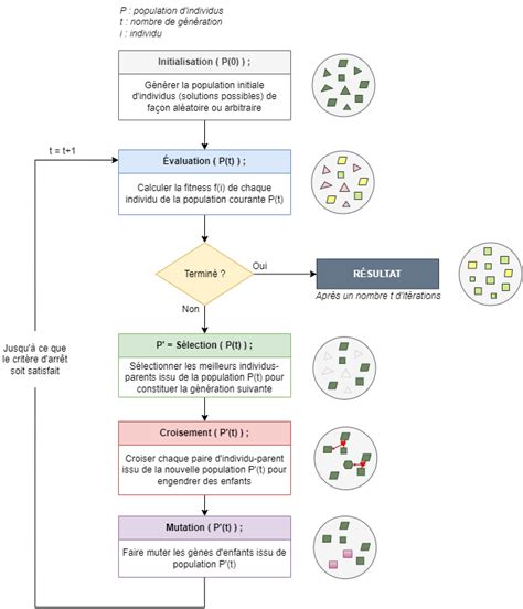 🔀 Homography Transformations From Theory To Application By Mlachahe