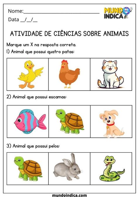 20 Atividades De Ciências 1 Ano Fundamental Para Imprimir