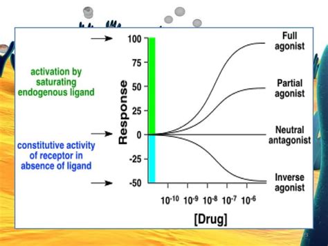Agonists Partial Agonists Pptx