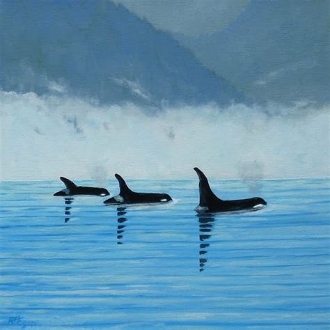 Orca Morning Mist Rob Egan City Of Pitt Meadows