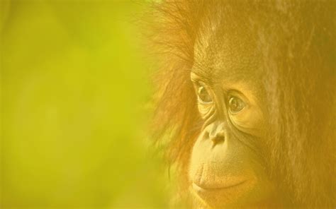 Segmentation And Targeting Audience With Mailchimp