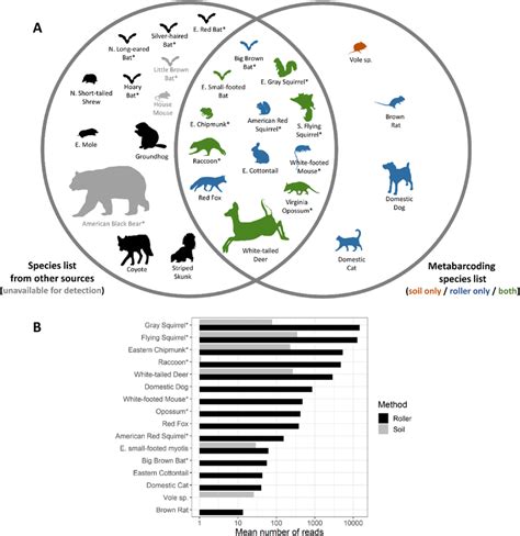 Mammal Species Detected With Edna Metabarcoding Using Soil And Tree