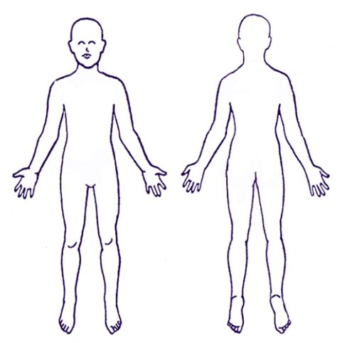 Biol 2501 Unit 1 Diagram Quizlet