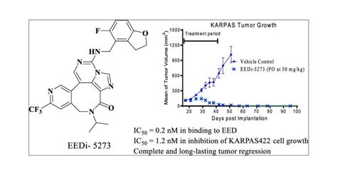 Discovery Of Eedi 5273 As An Exceptionally Potent And Orally Efficacious… Rohan Kalyan Rej