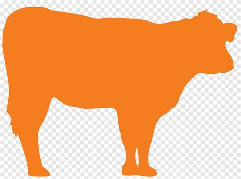 Gado Limousin Negócios Agricultura Lion Farm Hambúrguer De Carne