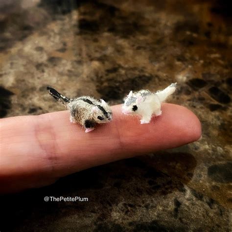 Miniature Sugar Glider Flying Squirrel Dollhouse Miniatures