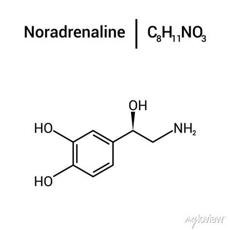 Chemical Structure Of Norepinephrine C8h11no3 Wall Mural • Murals Web Vector Symbol