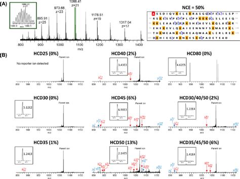 Hcd Analysis Of Stathmin Stmn1 Uniprotp16949 With Different Nces
