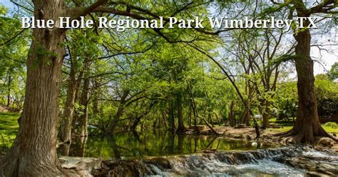 Blue Hole Regional Park Wimberley Tx 7 Best Activities 2026