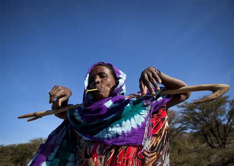 Somali Nomad With Stick Near Zeila Somaliland Somali Nomad People
