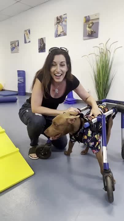 Stacy Berro On Linkedin Entrepreneurship Innovation Videoproduction