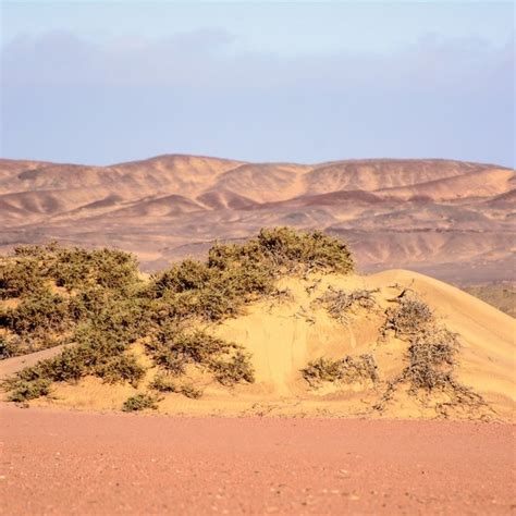 Saltpan With Puffy Solonchak Photo Alex Derr Download Scientific Diagram