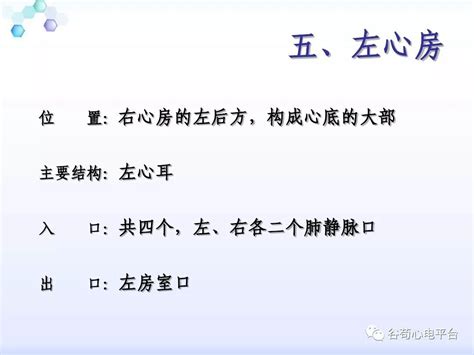 精美图文！心脏的解剖结构及传导系统 好医术早读文章 好医术 赋能医生守护生命