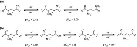 Protolytic Forms Of Glutamine A And Glutaminic Acid B In Aqueous