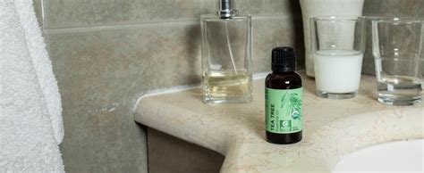 Oily Hair And Scalp Shampoo And Conditioner 16oz Degrease