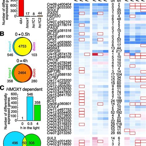Transcriptome Profiling During Dark To Light Transition Download