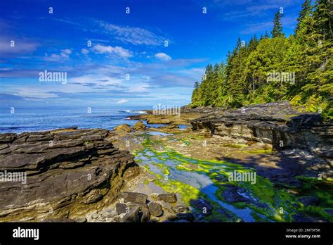 The Remote And Rugged Shoreline Of Juan De Fuca Provincial Park On