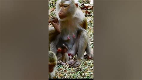 Lily Hug Libby Youtube