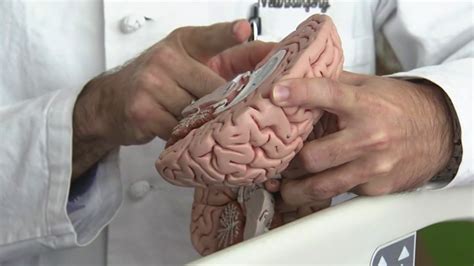 Doctors Disconnect Half Of Socal 6 Year Olds Brain Cnn