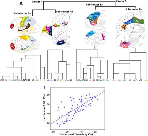 A Semiological Marker Of Emotional Insulo Cingulate Network Activation