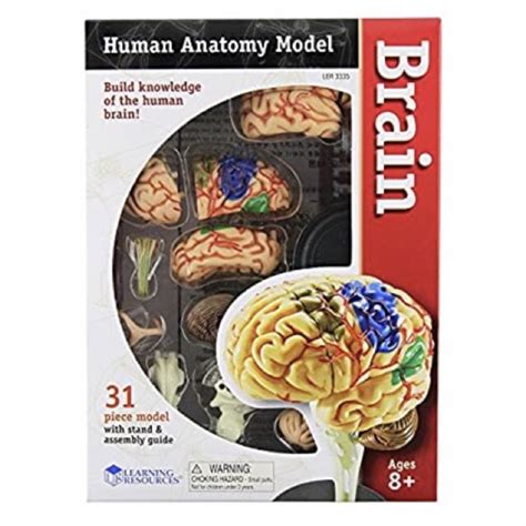 Learning Resources Brain Model Shopee Singapore