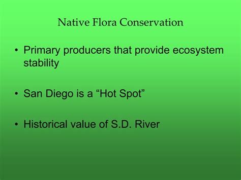 Internship Power Point Presentation Ppt