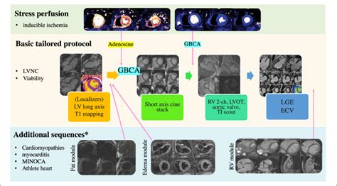 Tailored Protocols Schematics And Different Indications The Basic Download Scientific Diagram