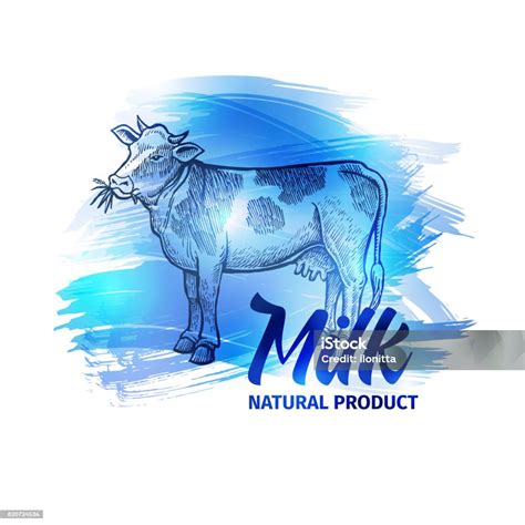 Tangan Digambar Sketsa Sapi Latar Belakang Sapi Alami Ilustrasi Vektor