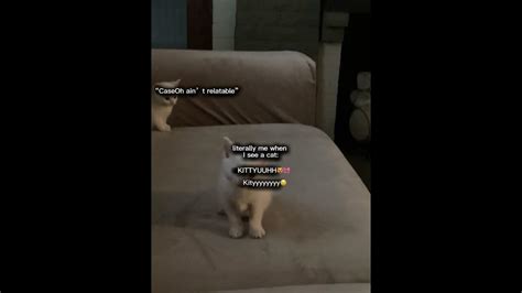 Kittyuhh Youtube
