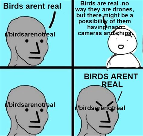 Just A Meme Dont Get On Me Birds Arent Real Gang Rmemes