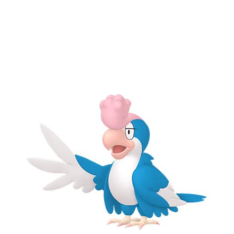 Squawkabilly Pokémon Go Melhor Conjunto De Ataques Contra Ataques