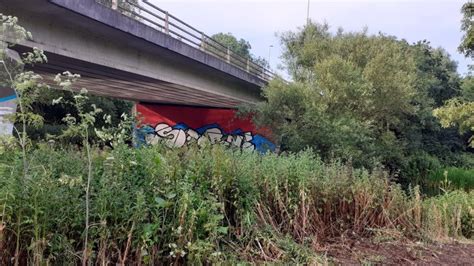 Michael Batten Posted On Linkedin